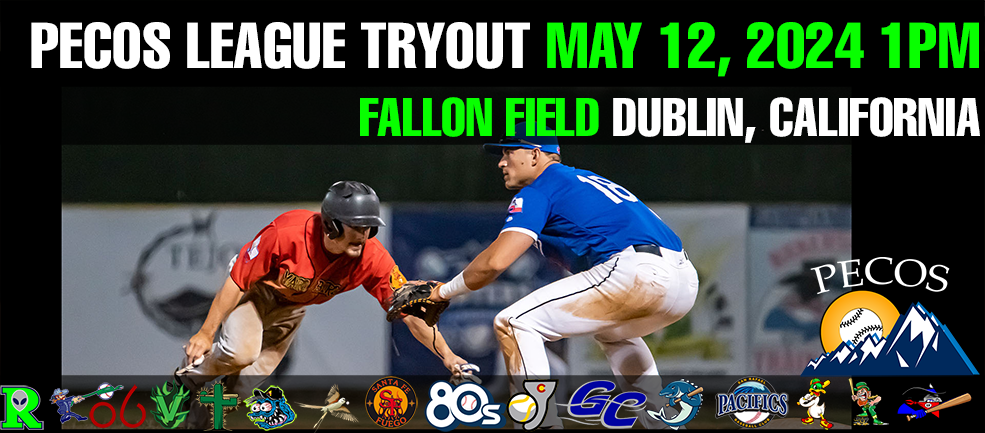 Professional Baseball Tryout Camps